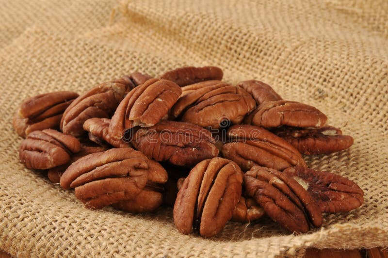 Fresh walnuts stock image. Image of dark, food, horizontal - 40090643