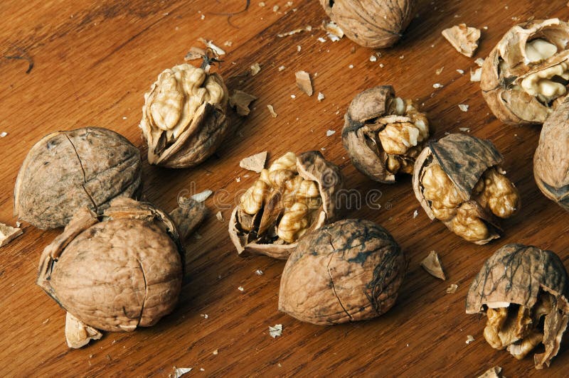 Fresh walnuts open stock photo. Image of dissect, shell - 21887678