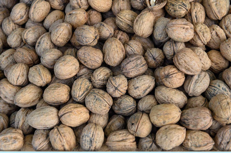 Fresh Walnuts in the Shell Full Frame Close Up As Background Stock ...