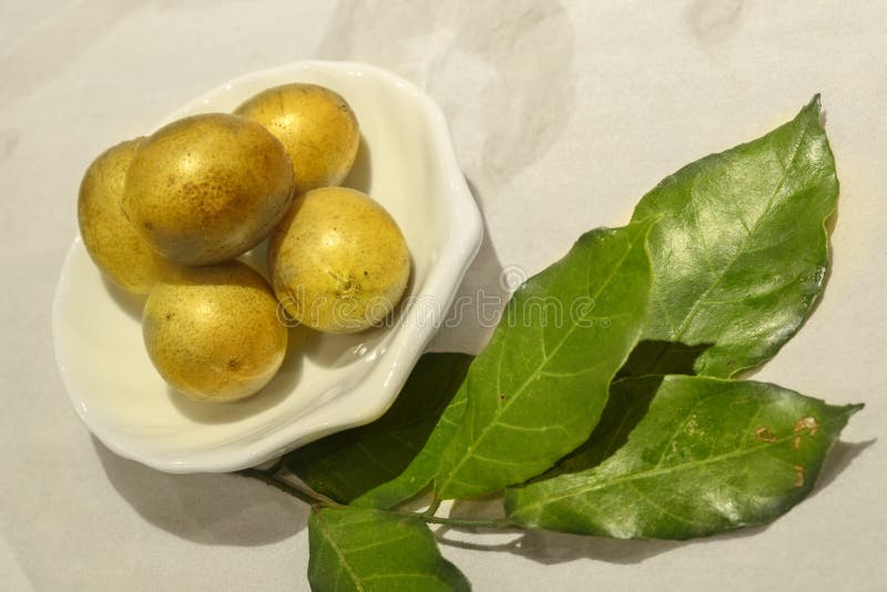 Wampee fruit seed stock photo. Image of detail, closeup - 78850364