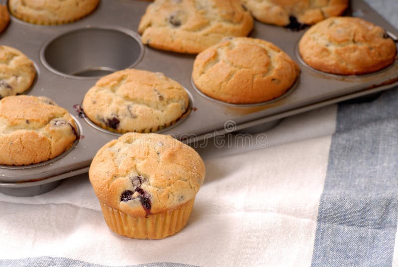 Fresh Warm Blueberry Muffins Stock Photo - Image of homemade, eating ...