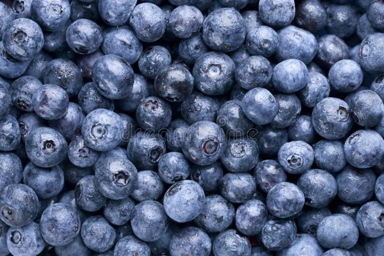387 Washed Blueberry Background Stock Photos - Free & Royalty-Free ...