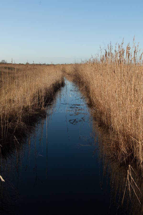 Fresh-water channel stock photo. Image of native, water - 48938074