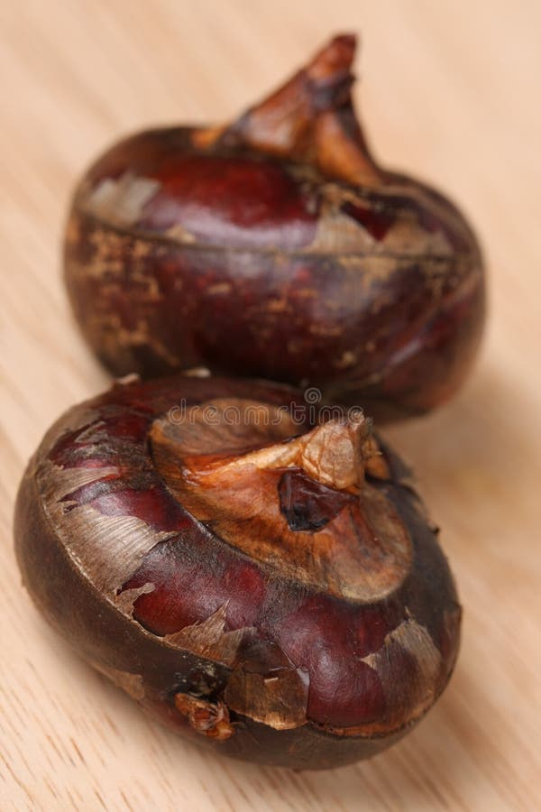 Fresh Water Chestnut stock image. Image of round, food - 8116987