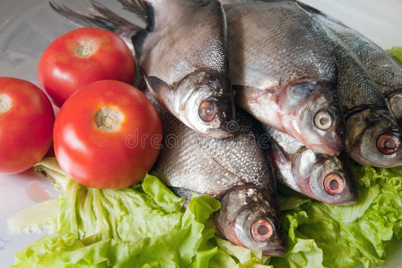 Fresh-water fish stock image. Image of fillet, fishing - 12105459
