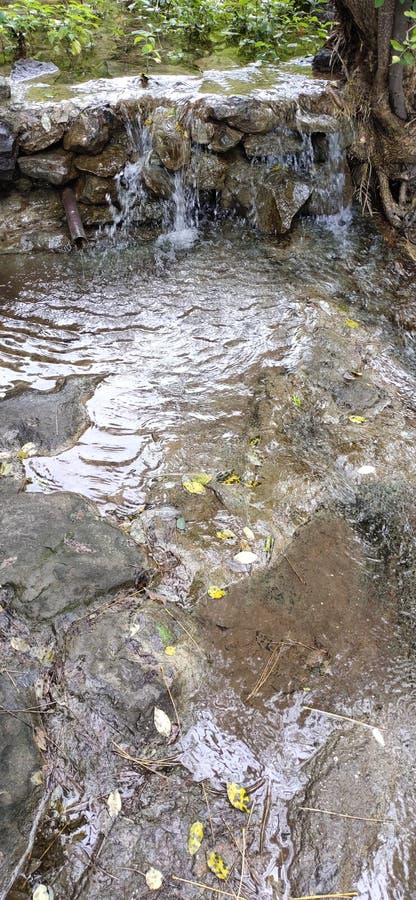 Fresh Water Flow Starting of Rever Stock Photo - Image of stream ...