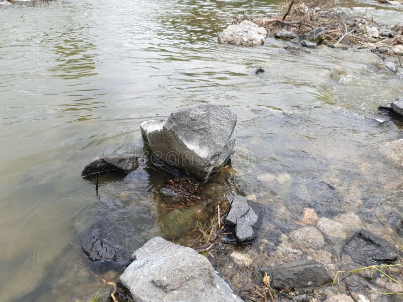 Fresh Water Flowing in River Stock Image - Image of water, tree: 196682991
