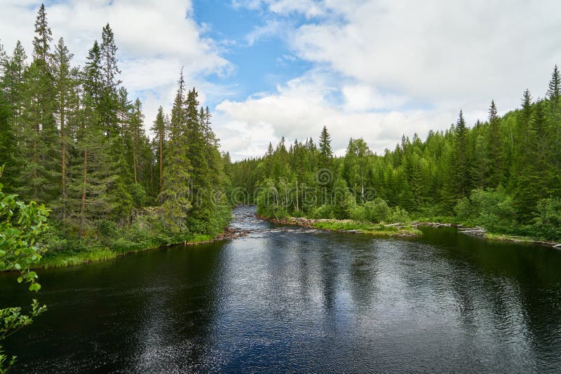 Fresh Water in Flowing River through Forest in Summer Stock Image ...