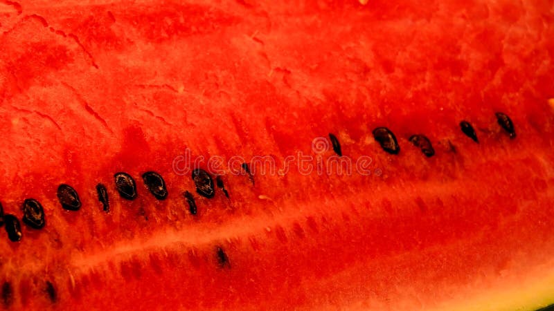 Water Melon on a Raw Display from Fresh Harvest on Farm with Stock File ...