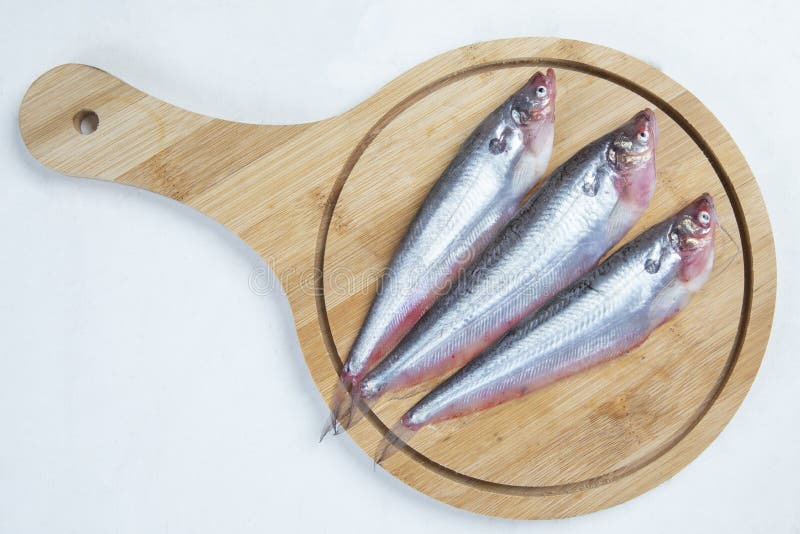 Fresh Water Pabda Fish of Southeast Asia Isolated on White Background ...