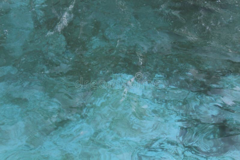 Fresh water in the pool stock photo. Image of surface - 119621014