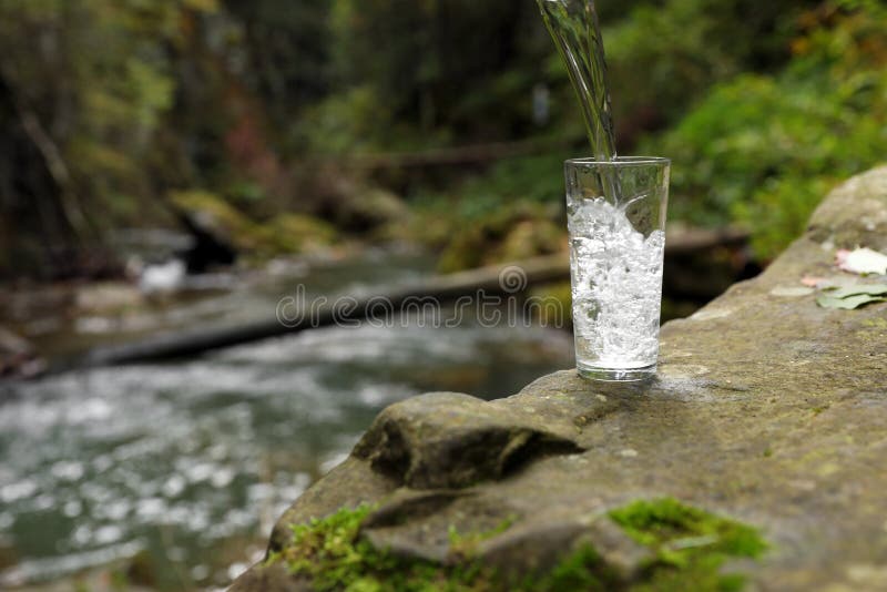 Fresh Water Pouring into Glass on Stone Near Stream in Forest. Space ...