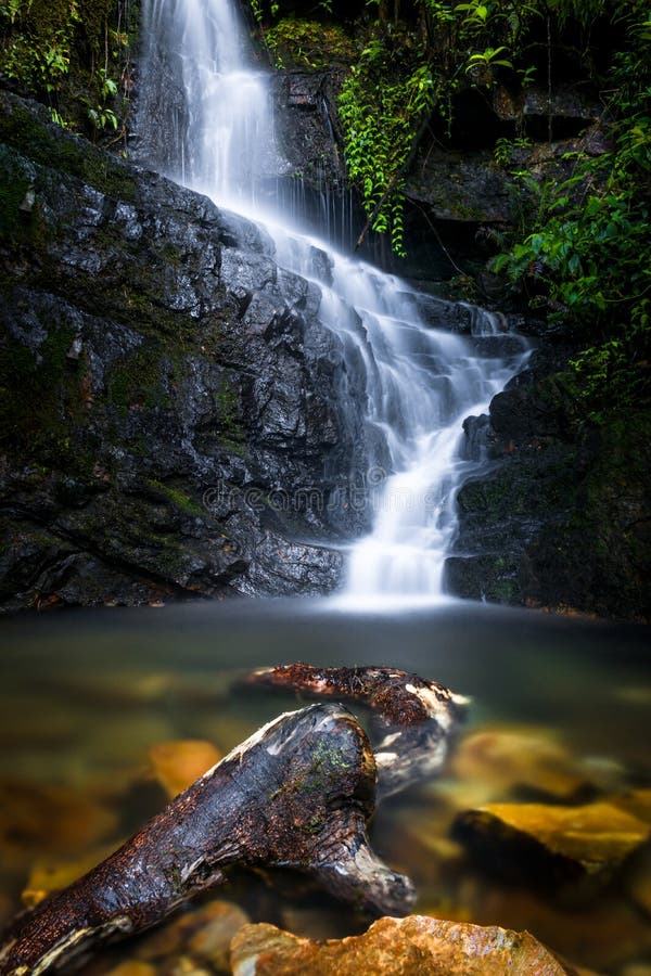 Fresh Water Waterfall Falling from a Rocks Stock Image - Image of cliff ...
