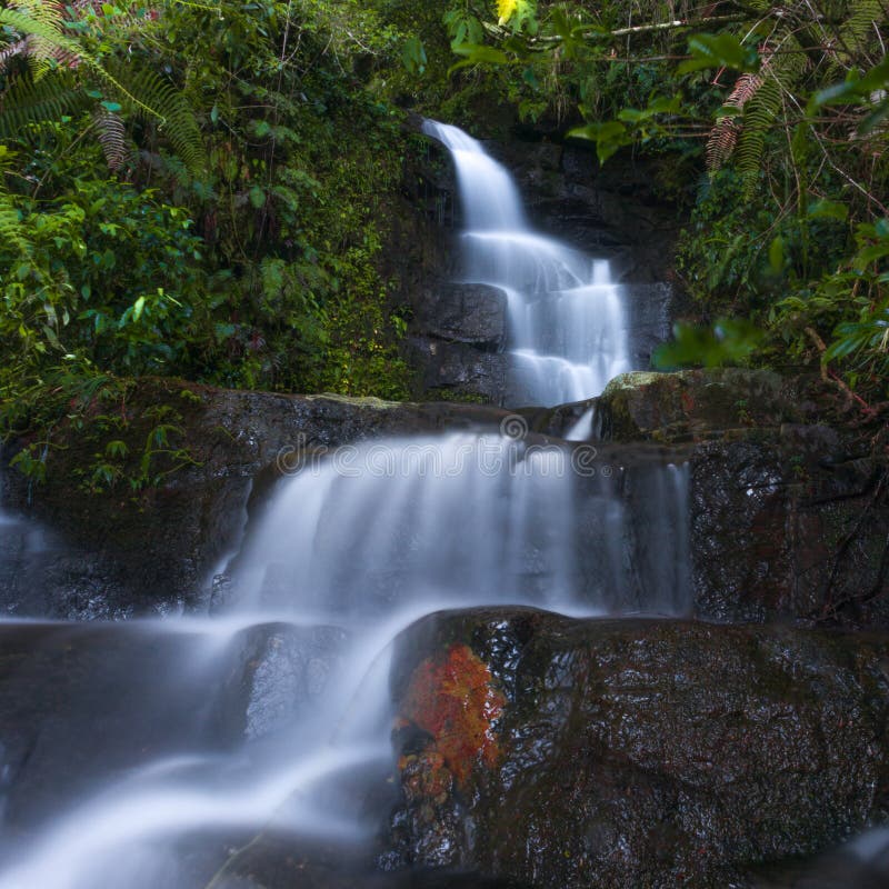 Fresh Water Waterfall Falling from a Rocks Stock Image - Image of ...