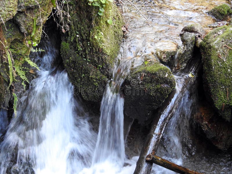 Fresh Running and Dripping Honey Stock Photo - Image of beekeeping ...