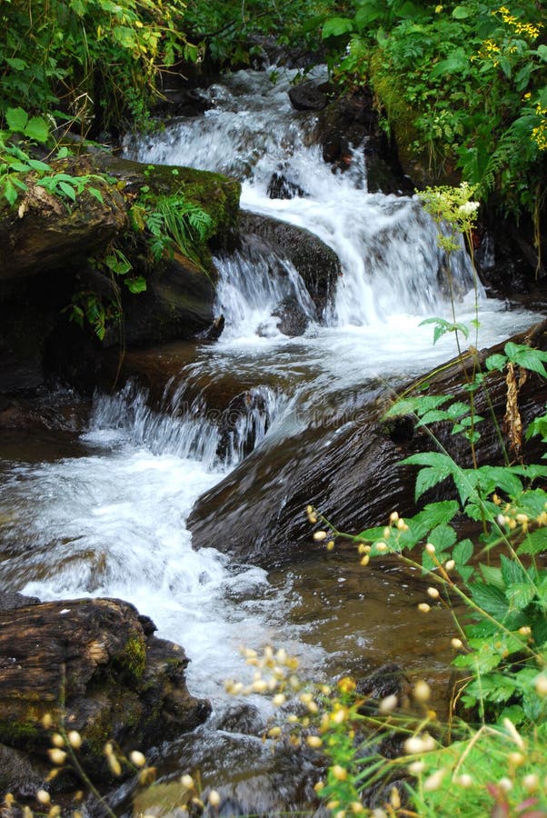 Fresh water spring cascade stock photo. Image of grass - 13053668