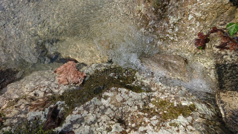 Fresh water spring stock photo. Image of pure, closeup - 143381750