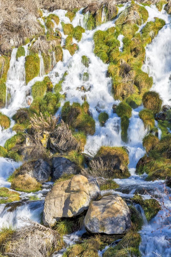 Fresh Water Spring Flowes through Grass and Rocks Stock Image - Image ...