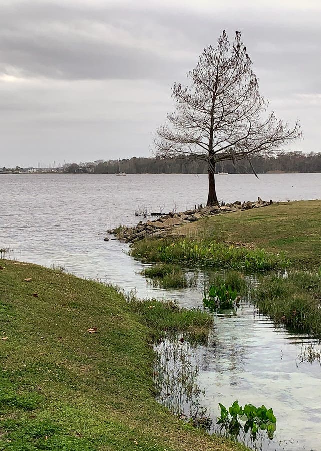 Fresh Water Spring Flowing To a River Stock Image - Image of fresh ...