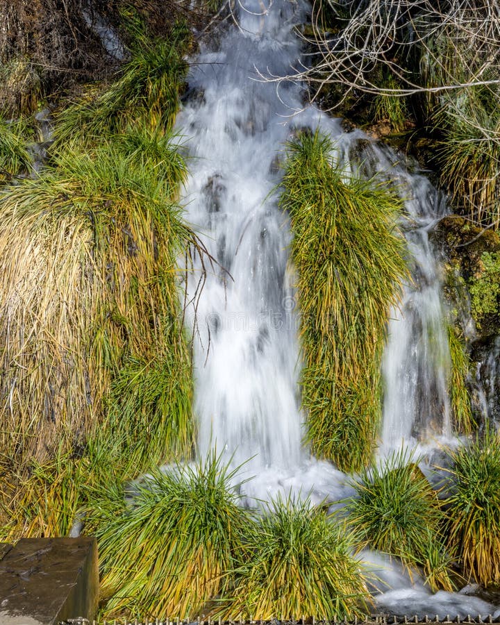 Fresh Water Spring Flows from the Ground Stock Photo - Image of grass ...