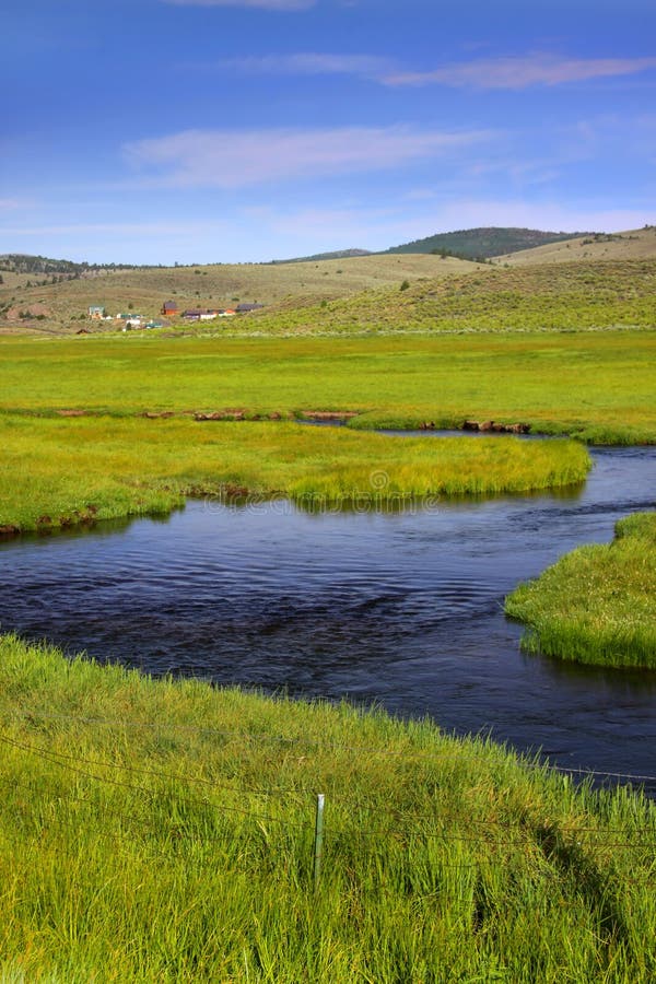 6,632 Stream Green Pasture Stock Photos - Free & Royalty-Free Stock ...