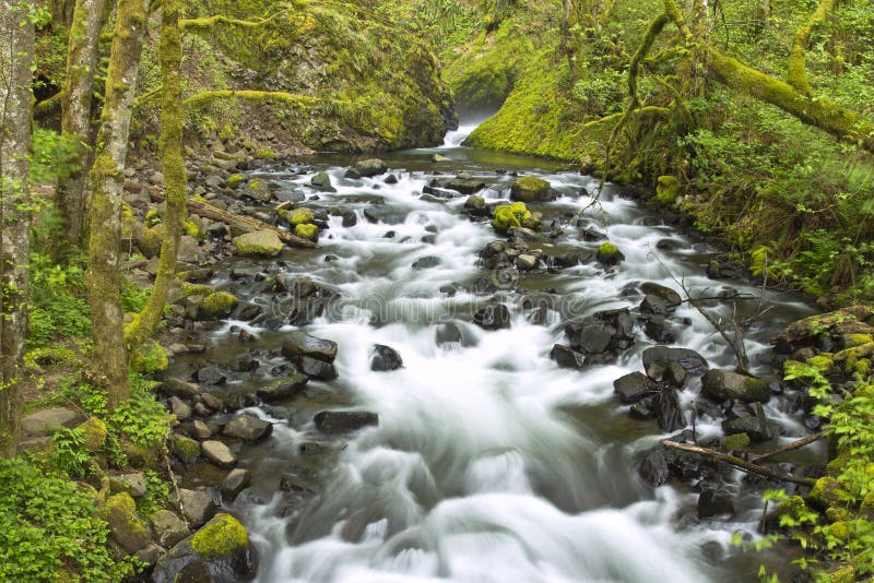 Drain pipe stock image. Image of stream, fresh, rainwater - 9047537