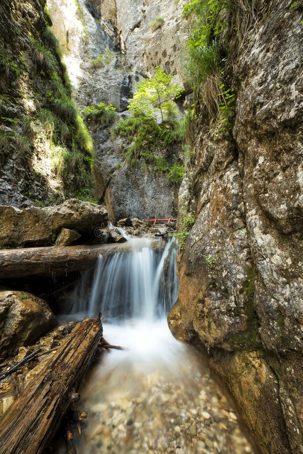 Fresh Water Stream Flowing Down Stock Photo - Image of scenic, green ...