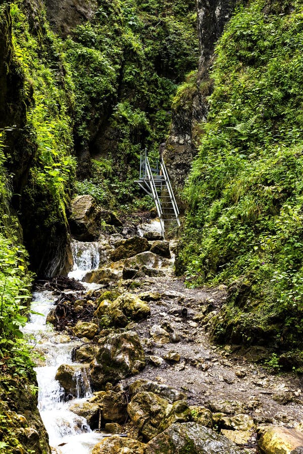 Fresh Water Stream Flowing Down Stock Image - Image of nature, rock ...