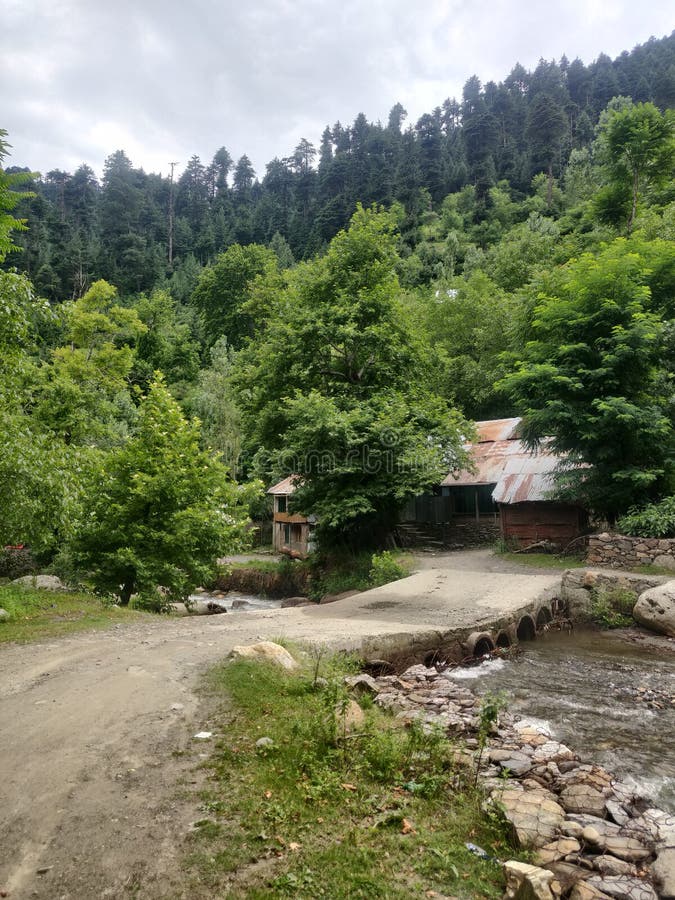 Fresh Water Stream in Kashmir Stock Image - Image of stream, wilderness ...