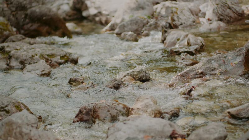 Beautiful Waterfall Fresh Water Cascade Nature Stock Video - Video of ...