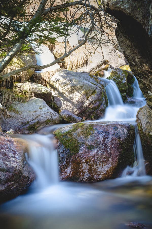 A fresh Waterfall stock photo. Image of foliage, jungle - 142118200