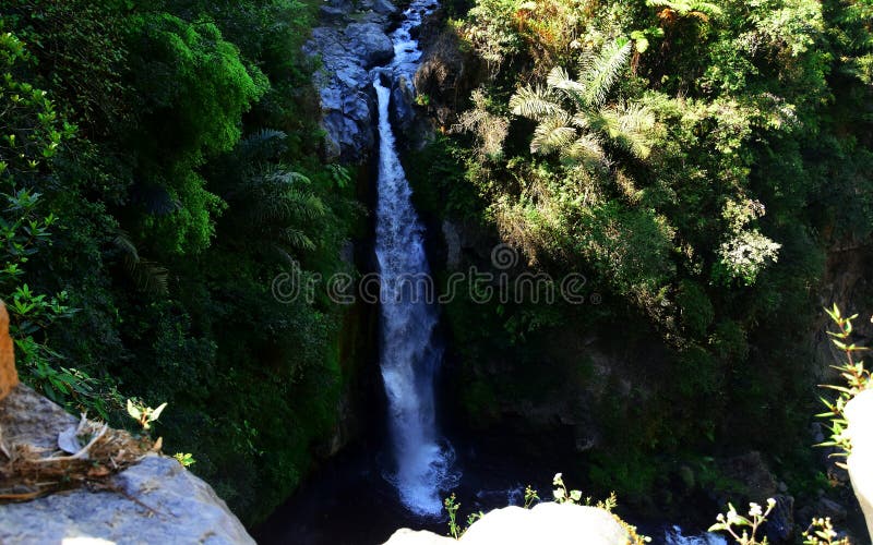 Fresh Waterfall Seen from Above Stock Photo - Image of scenic ...
