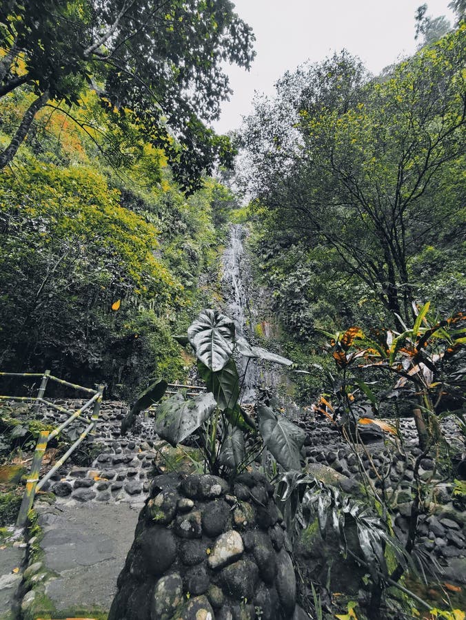 Fresh Waterfall in Yogyakarta Stock Image - Image of fresh, water ...