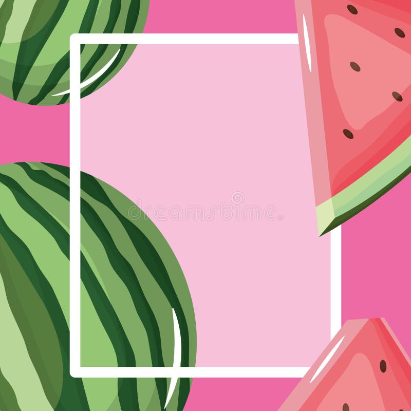 Fresh Watermelon Fruit Square Frame Stock Vector - Illustration of ...