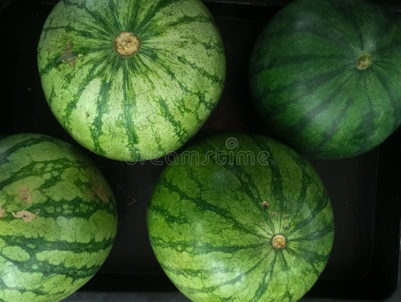 Fresh Watermelon Fruit Vitamin a, Vitamin C Nutrition for Health Stock ...