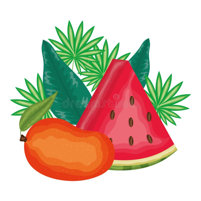 Watermelon, Mango, Pomegranate,lemon Smoothie Set. Stock Vector ...