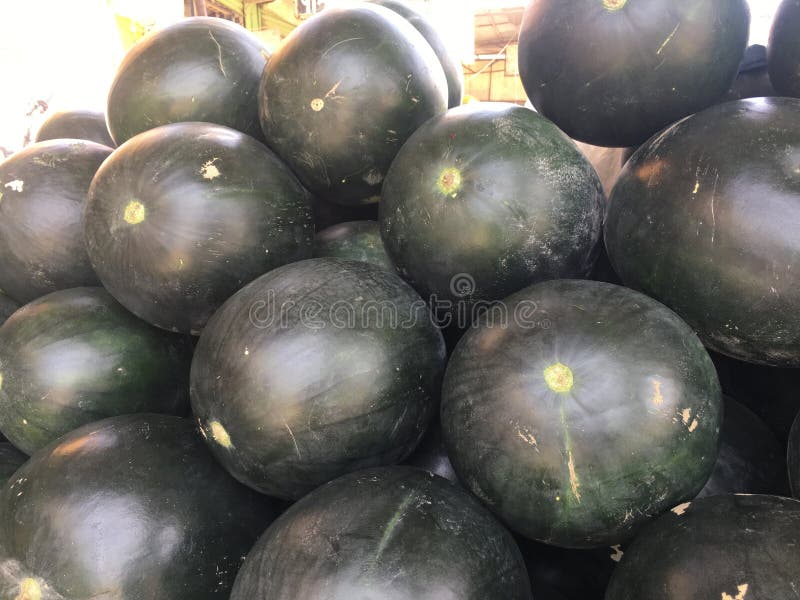 Fresh Watermelon Market Punjab Pakistan Stock Photos - Free & Royalty ...