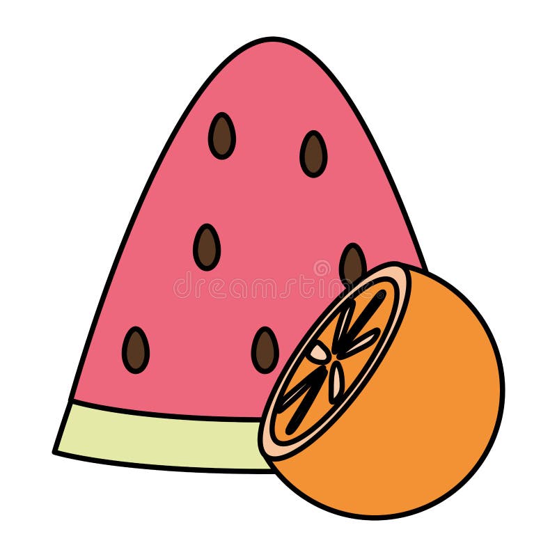Fresh Watermelon Portion with Orange Stock Vector - Illustration of ...