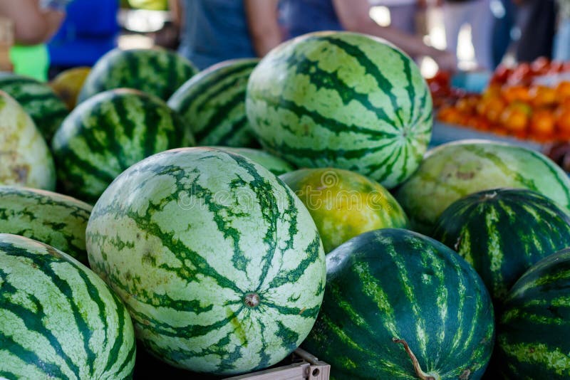 Fresh Watermelons stock photo. Image of juicy, summer - 96749482