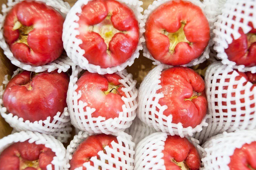 Fresh wax stock image. Image of plate, yellow, fresh - 35718097