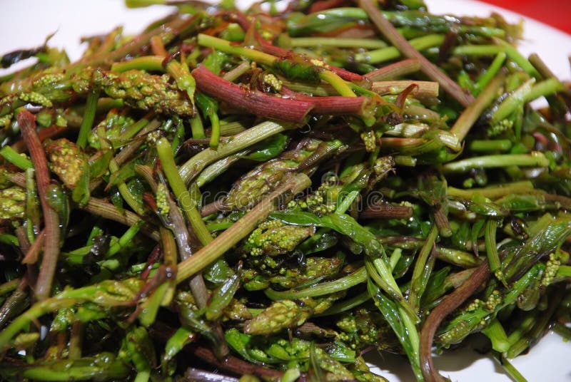 Fresh weed like sparagus stock image. Image of nature - 27337303