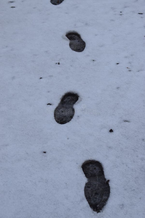 Footsteps in wet snow stock photo. Image of drawing - 240197664