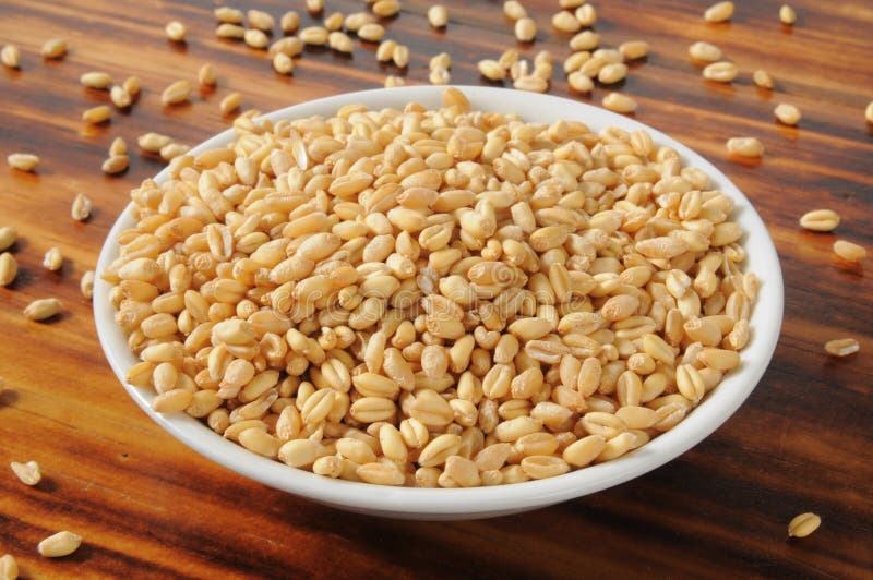 Fresh wheat kernels stock image. Image of natural, healthy - 31175769