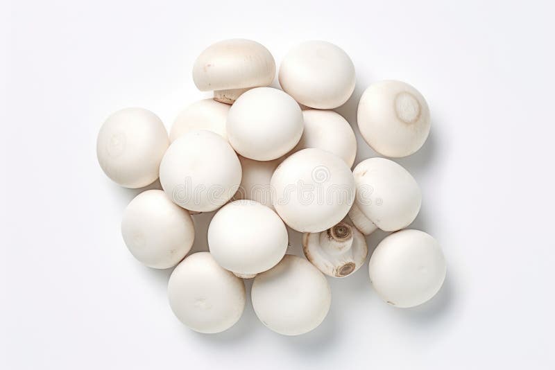 Fresh White Button Mushrooms Isolated on White Background Stock Photo ...