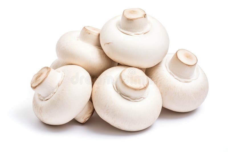 Fresh White Button Mushrooms Isolated on White Background Stock Image ...