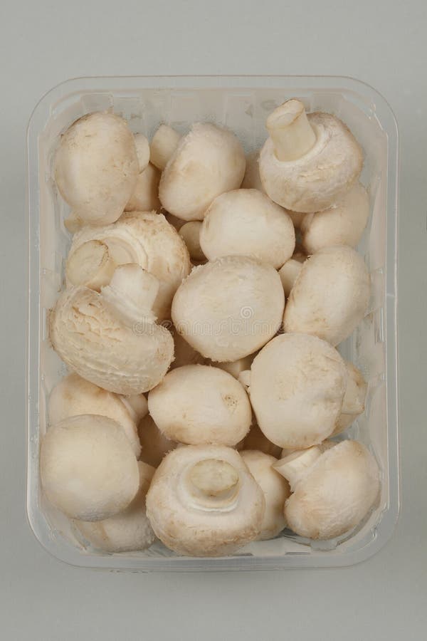 Fresh White Button Mushrooms Stock Image - Image of produce, mushrooms ...