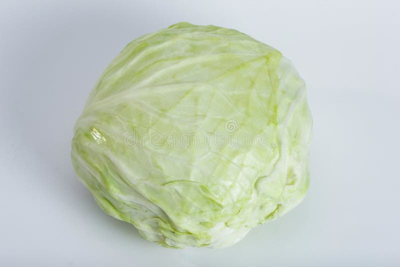 Fresh White Cabbage stock image. Image of head, healthy - 33143713