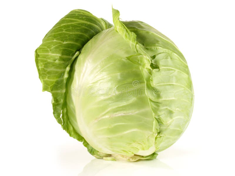 Fresh White Cabbage on White Background - Isolated Stock Photo - Image ...