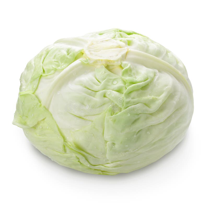 Fresh White Cabbage Whole Head Isolated on White with Shadow, for Your ...