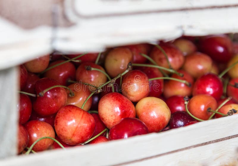 Fresh White Cherry in Wooden Box Stock Photo - Image of summer ...